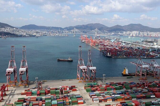 Full- day Busan private tour - Who Should Consider This Tour?