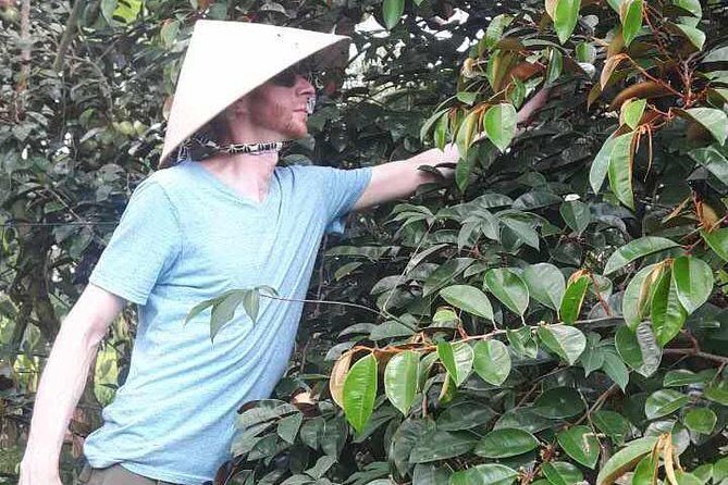 FULL Day - CAI RANG FLOATING MARKET, COOKING CLASS AND EXPLORE THE COUNTRYSIDE - Key Points