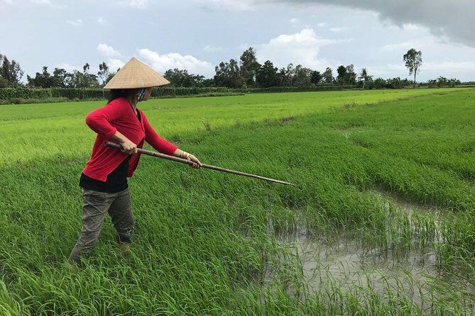FULL Day - CAI RANG FLOATING MARKET, COOKING CLASS AND EXPLORE THE COUNTRYSIDE - The Sum Up