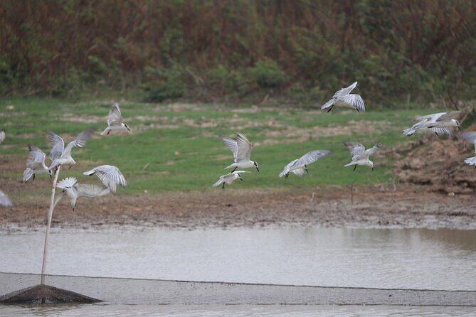 Full day Cambodia Buggy Adventure Tour - FAQ