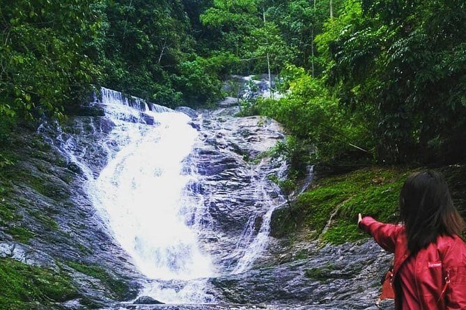 Full-day Cameron Highlands Day Trip from Kuala Lumpur - FAQ