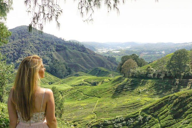 Full Day Cameron Highlands Nature Tour with Hobbitoon Village - The Sum Up