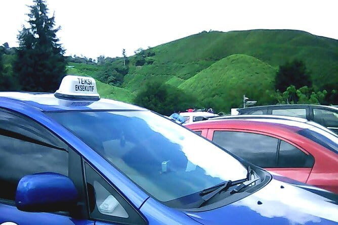 Full-day Cameron Highlands Tour - Final Thoughts