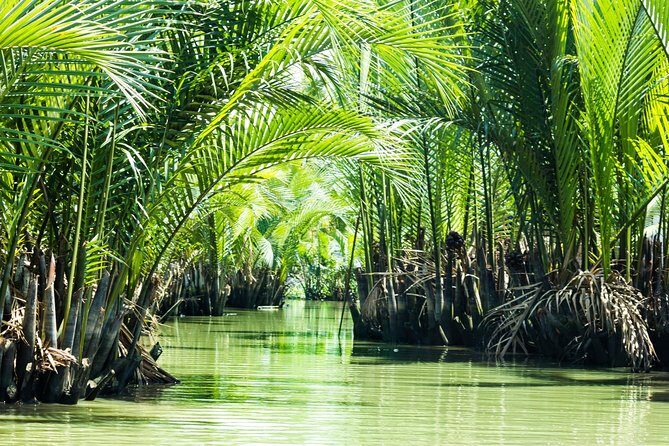 Full-day Can Gio Eco Escape And Wildlife Discovery - Introduction: What This Tour Offers and Why It’s Worth Considering