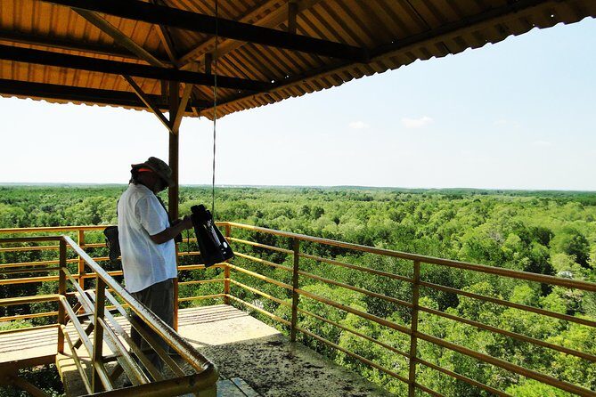 Full-day Can Gio Eco Escape And Wildlife Discovery - Exploring Monkey Island and the Can Gio Museum