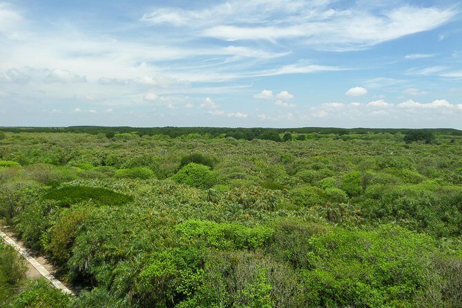 Full-day Can Gio Eco Escape And Wildlife Discovery - Authentic Traveler Perspectives