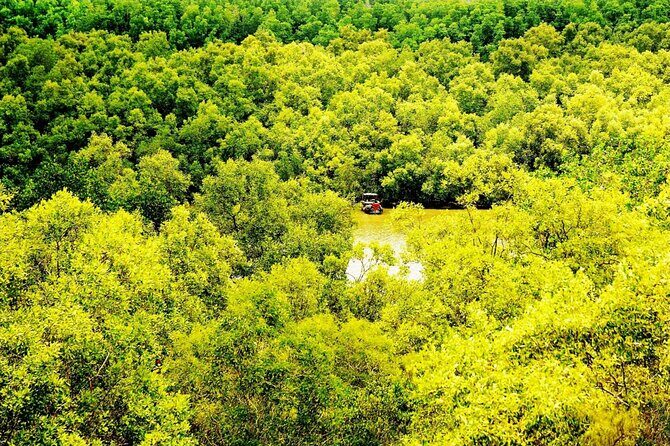 Full-Day Can Gio Mangrove Private Guided Forest Exploration - What We Think: Value, Comfort, and Authenticity