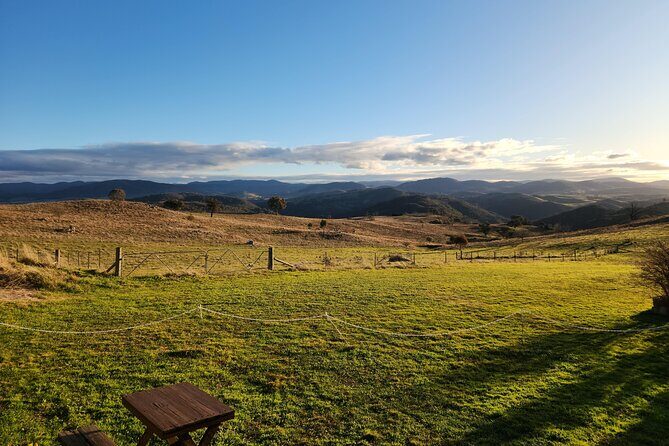 Full-Day Canberra Brewery, Wineries & Distillery tour /w lunch - FAQs