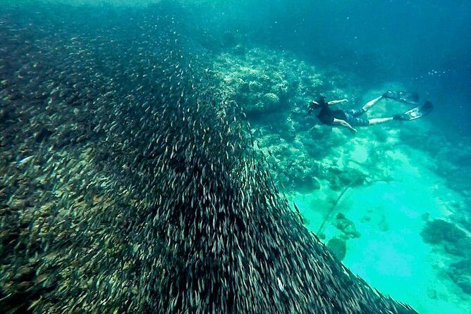 Full Day Canyoning and Whaleshark Adventure from Cebu City or Mactan Area - Final Thoughts
