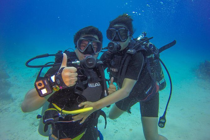 Full-Day Catalina Island Scuba Diving Tour from Punta Cana - An Overview of What To Expect