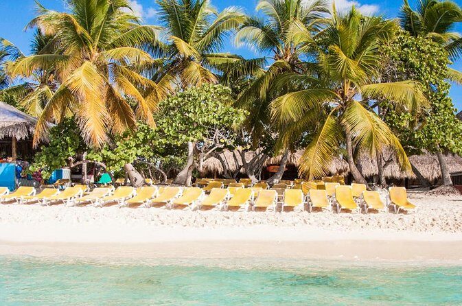 Full-Day Catalina Island Scuba Diving Tour from Punta Cana - Who Will Love This Tour?