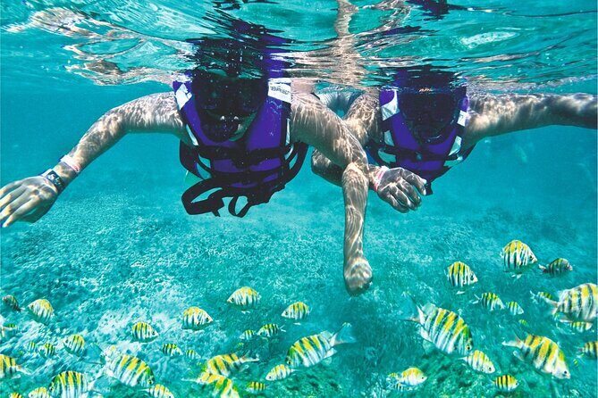 Full - Day Catalina Island Snorkel from Juan Dolio & Boca Chica - Who Is This Tour Best For?