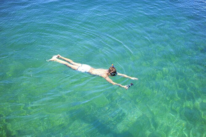 Full-Day Catalina Island Snorkeling Excursion from Punta Cana - What’s Included and Why It Matters