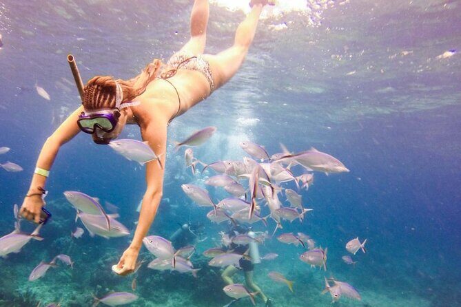 Full-Day Catalina Island Snorkeling Excursion from Punta Cana - Authentic Experiences and Traveler Insights