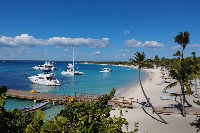 Full-Day Catalina Island Snorkeling Excursion from Punta Cana - Practical Considerations