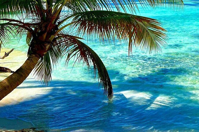 Full-Day Catalina Island Snorkeling Excursion from Punta Cana - Who Will Enjoy This Tour?