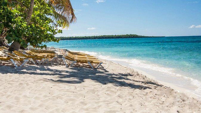 Full-Day Catalina Island Snorkeling Tour from Bavaro - What to Expect from the Tour