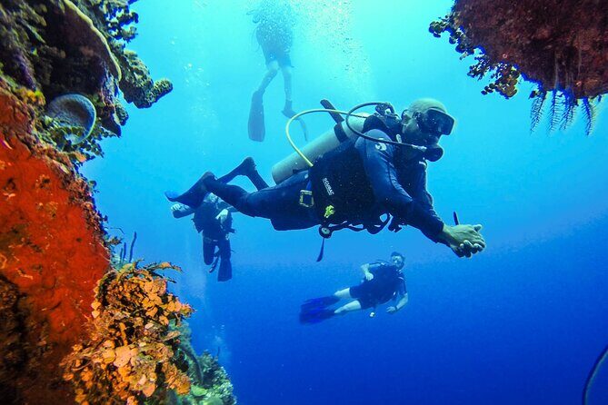 Full Day Catalina Island With Scuba Diving - Analyzing the Experience: What to Expect on This Full-Day Tour