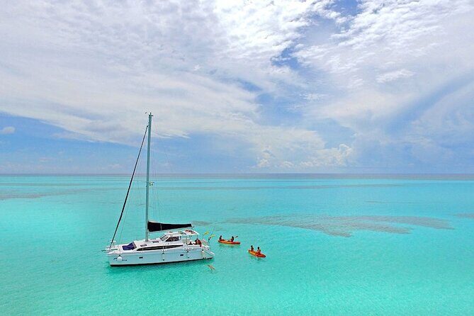 Full-Day Catamaran Cozumel Tour with Sky Snorkeling - What Travelers Are Saying: Authentic Perspectives