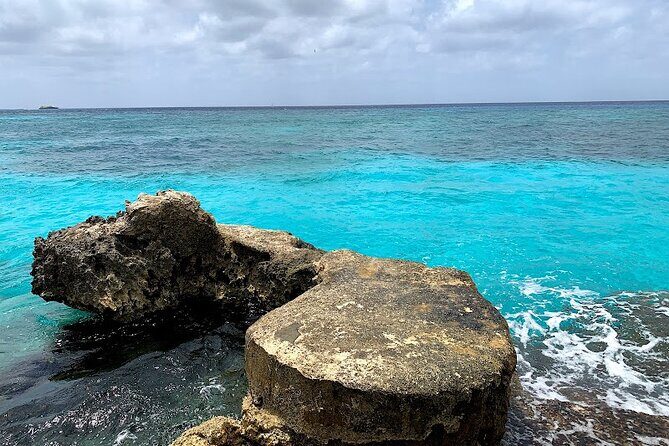 Full-Day Catamaran Cozumel Tour with Sky Snorkeling - Summing Up: Who Will Love This Tour?