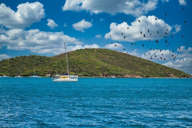 Full Day Catamaran Private Tour in Grenada - Who Will Enjoy This Tour?