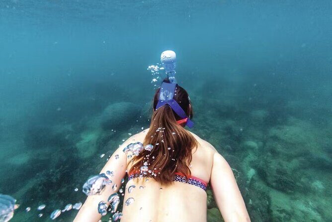 Full-Day Catamaran Snorkeling Tour with Lunch from Puerto Plata - What Travelers Can Expect