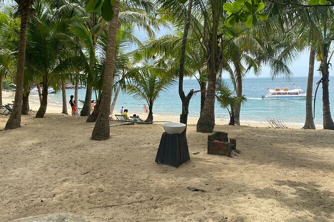 Full Day Cham Island Discovery and Snorkeling Tour from Hoi An - The Sum Up