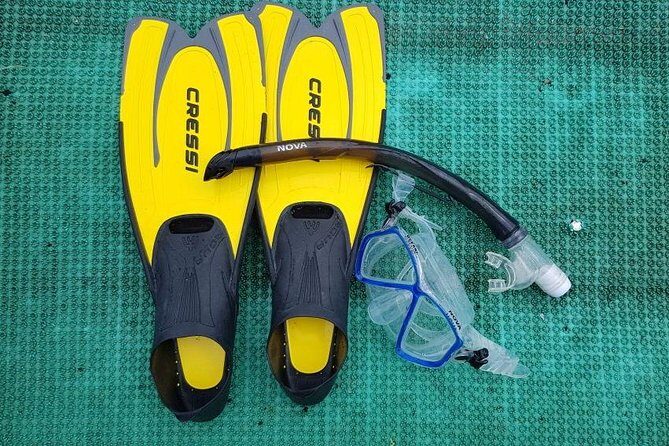 Full-day Cham Islands Cruise from Hoi An with Underwater Walking Excursion - Final Thoughts: Who Will Love This Tour?