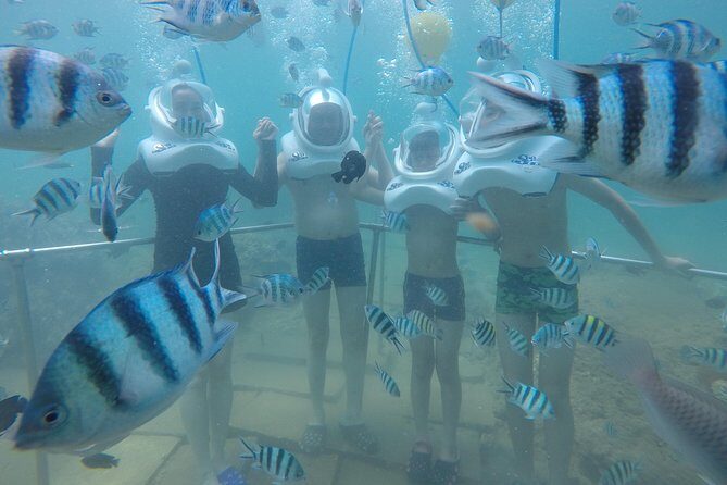 Full-day Cham Islands Cruise from Hoi An with Underwater Walking Excursion - Final Words