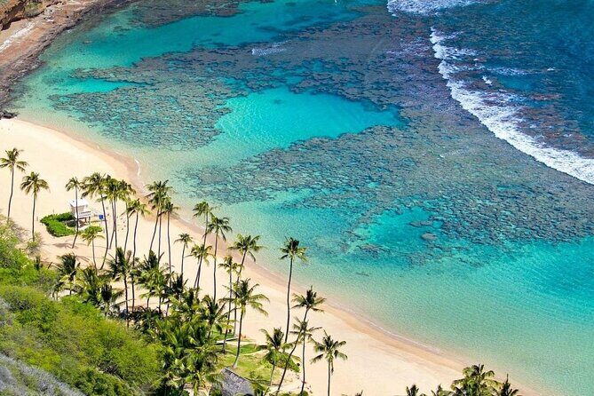 Full-Day Cham Islands Tour with Snorkeling & Beach Relaxation - The Sum Up