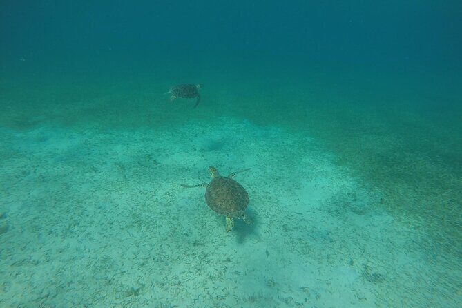 Full Day Charter from Fajardo to Culebra - Snorkeling at Playa Tortuga and Tamarindo Beach