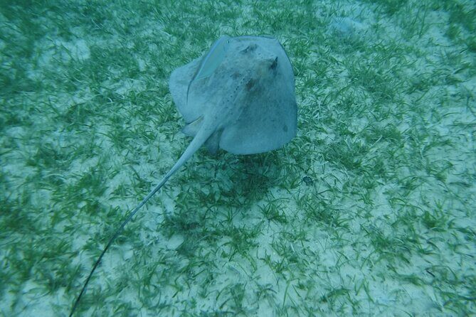 Full Day Charter from Fajardo to Culebra - Arrival at Honeymoon Beach: Relaxation and Good Food