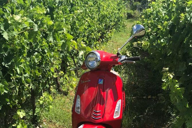 Full-Day Chianti Tour by Vespa Scooter from San Gimignano - Potential Drawbacks and Considerations