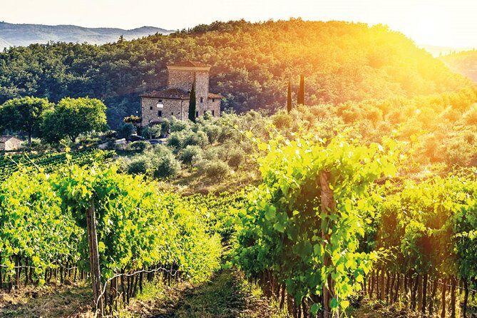 Full-Day Chianti Tour by Vespa Scooter from San Gimignano - FAQs