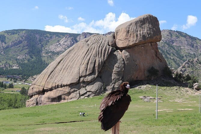 Full Day Chinggis Khaan Statue & Terelj NP Tour +Horseride, Eagle - The Sum Up
