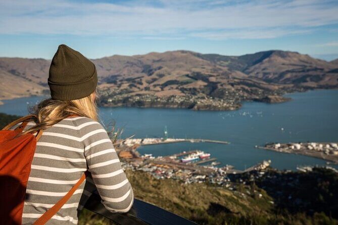 Full-day Christchurch Highlights Tour - Final Thoughts: Who Is This Tour For?