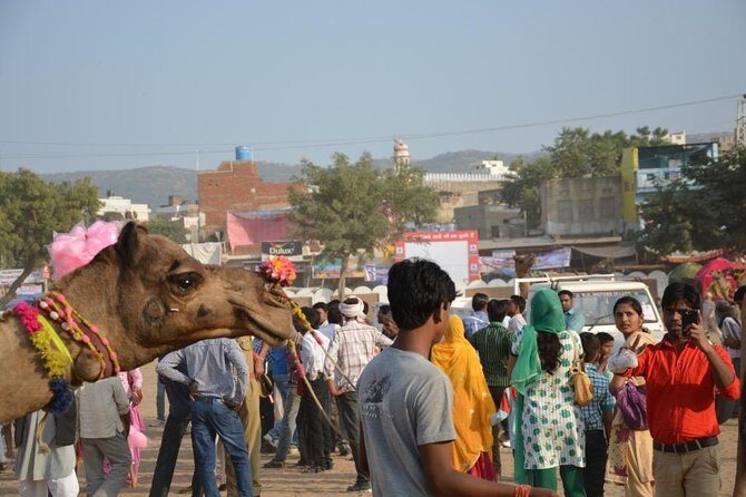 Full Day City Tour of New Delhi with Lunch - Authentic Experience and What You’ll Take Away