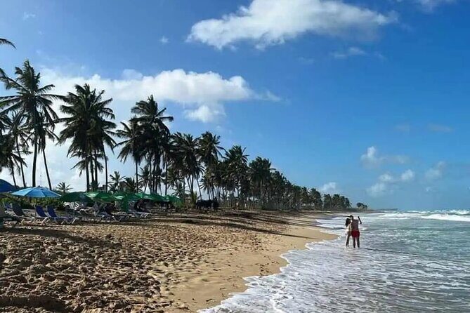 Full Day City Tour of Punta Cana - Detailed Breakdown of the Itinerary