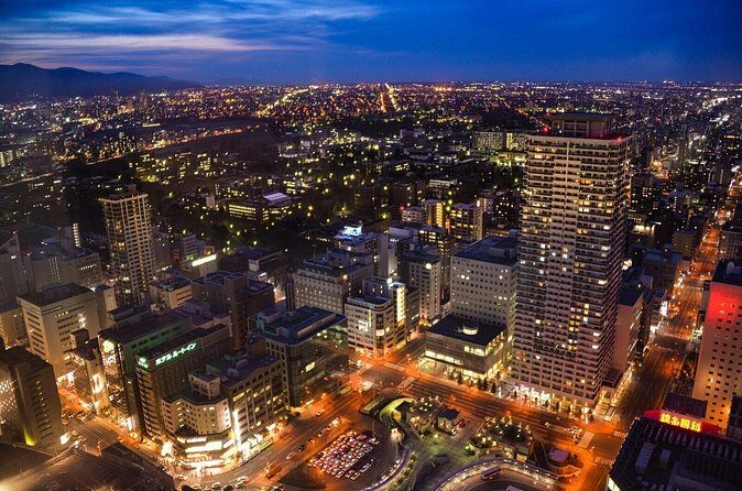 Full-day City Tour of Sapporo with Guide from Niseko - Who It’s Best For