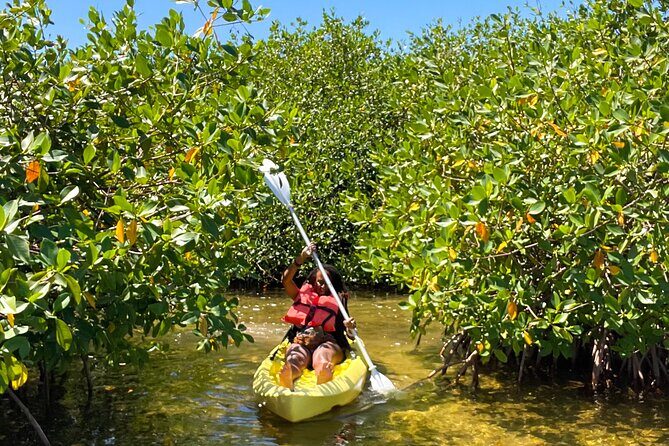 Full Day Clear Kayak Rental Grand Turk - Who Will Love This Experience