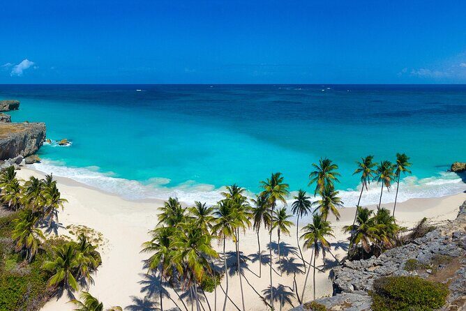 Full Day Coast to Coast Private Tour in Barbados - Who Would Enjoy This Tour?