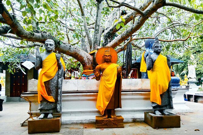 Full day Colombo City Tour - Private Air Condition Car and Driver - Who Would Love This Tour?