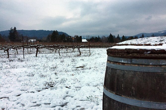 Full-day Columbia Gorge Hiking - In The Sum Up: Who Should Consider This Tour?