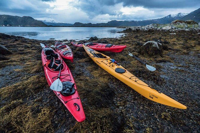Full Day Combo Kayak and Rappel - Northern Explorer - Authentic Highlights and Tips