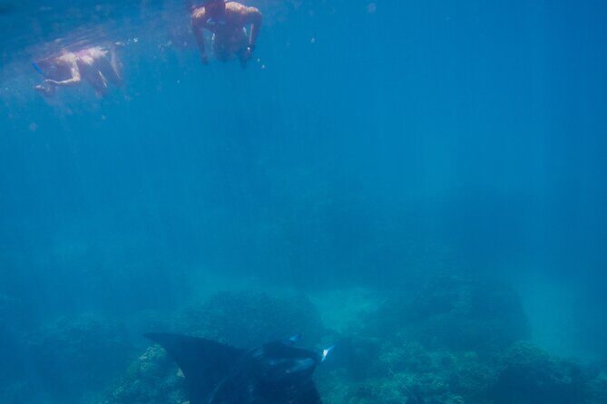 Full Day Combo Snorkeling with Buffet and Bora Bora ATV Tour - A Day of Adventure and Relaxation in Bora Bora