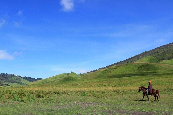 Full Day Comfort Private Bromo Tour - Authentic Experiences and Traveler Insights