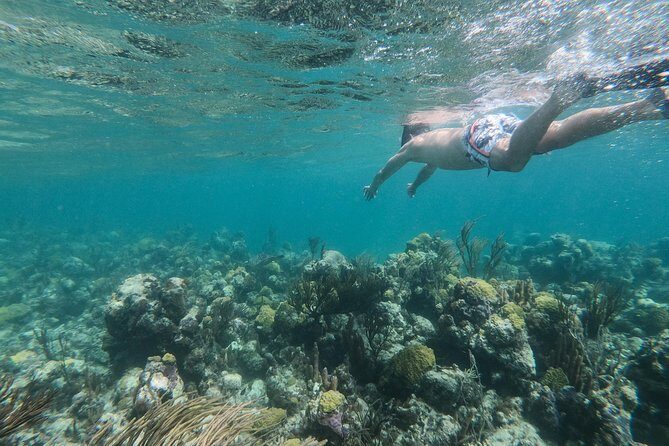 Full Day Cruise from Providenciales with Snorkeling and BBQ Lunch - Final Thoughts