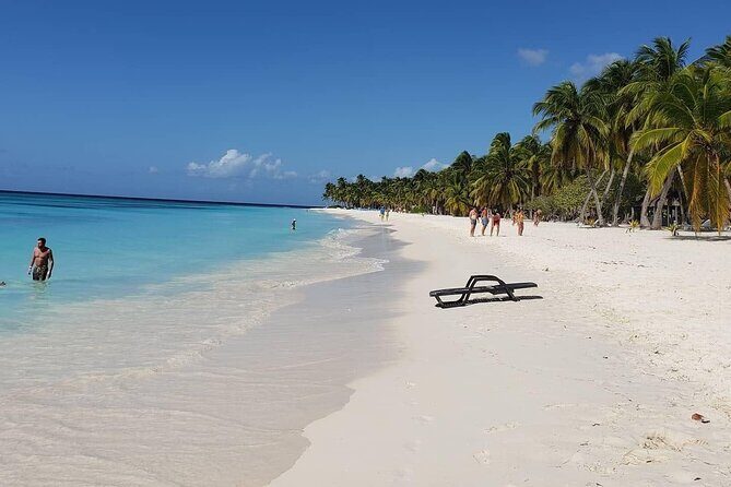 Full-Day Cruise to Saona Island - Natural Pool and Lunch - An In-Depth Look at the Tour Experience