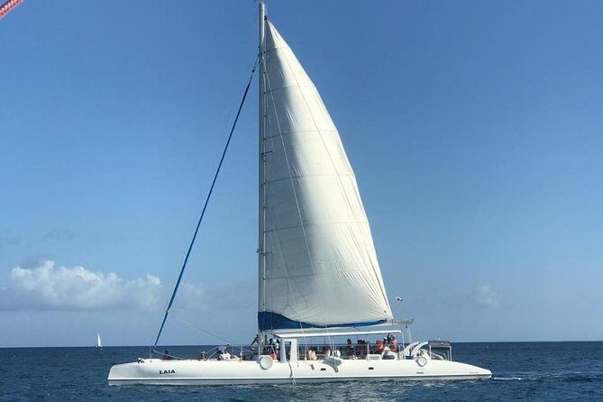 Full-Day Cruise to Saona Island - Natural Pool and Lunch - What Youll Experience and What It Means for You