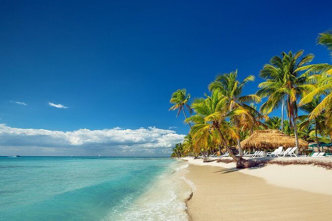 Full-Day Cruise to Saona Island - Natural Pool and Lunch - Who Will Love This Tour?